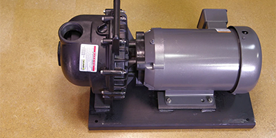 Banjo Poly Pump Electric Motor Service - Dultmeier Sales